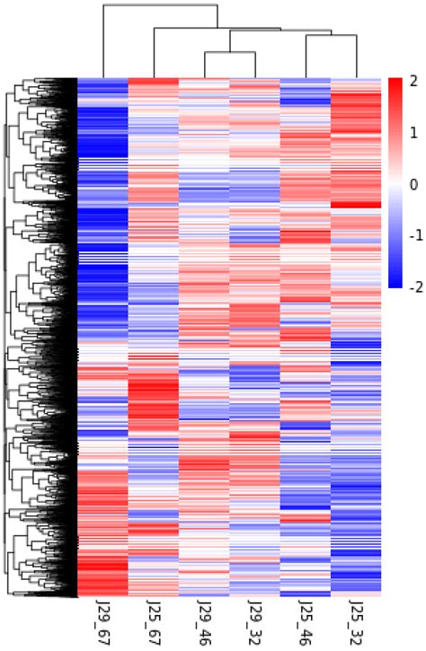 Genes Free Full Text Comparative Transcriptome Analysis Reveals The