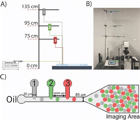 Microfluidic Device Design And Operation A Schematic Of The