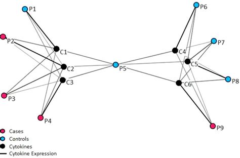 An Example Of A Bipartite Network Where Edges Exist Only Between Two