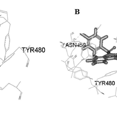 Binding Mode And Docked Conformations Of Selected 3b A And 3d B In