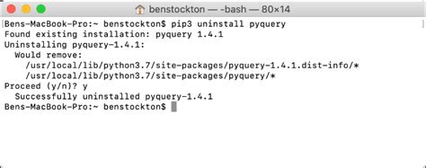 how to install python pip for python packages