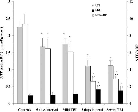 Graph Showing Concentrations Of Atp And Adp And Atp Toadp Ratio As