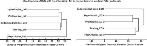 Hca Analysis By Wards Clustering Method Of Raman Average Spectra From
