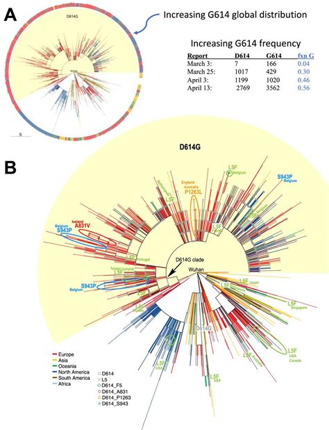Spike Mutation Pipeline Reveals The Emergence Of A More Transmissible