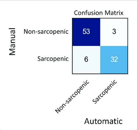 sarcopenia classification based on manual and automatic sm area