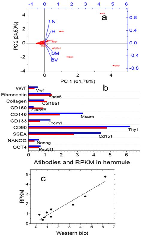 Principal Component Analyses Pca Western Blot And Rna Seq Protein