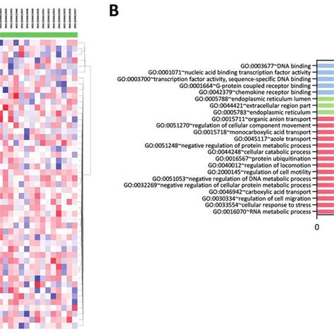 Bidirectional Clustering Heat Map Of The Degs Between Msi H And Mss