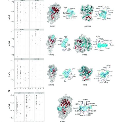 Structural Mapping Of Runx1 Cancer Associated Mutations A Mutation