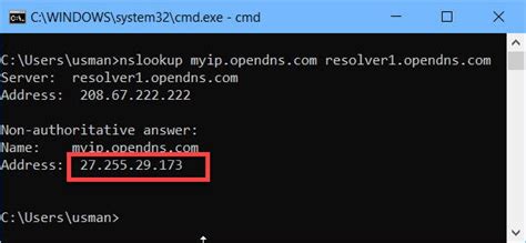 how to check public ip address using command line in windows 10 windows 11