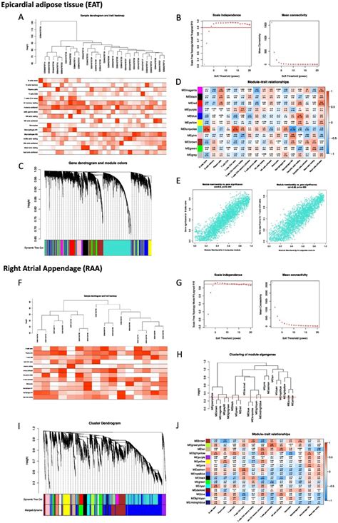 Construction Of The Weighted Co Expression Network And Identification