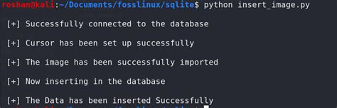 mastering the sqlite database in python foss linux