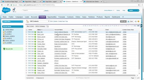salesforce tutorial point pdf salesforce