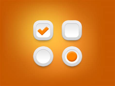 customize radio button and checkbox on behance