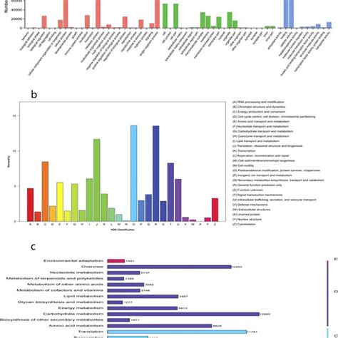 Analysis Of Functional Categories Of Annotated Unigenes A Gene