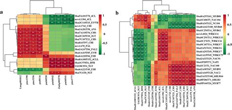 Correlation Heatmap Between Degs And Differentially Accumulated