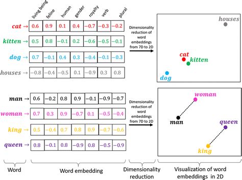 word embedding basics create a vector from a word by hariom gautam