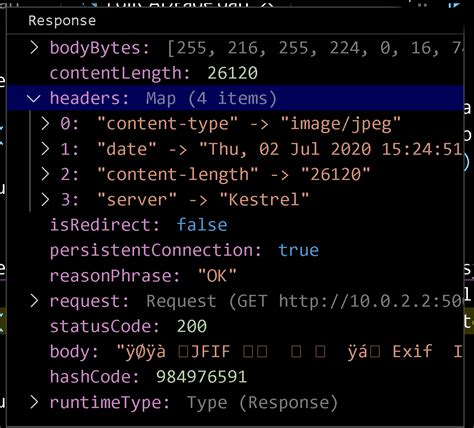 how to display jpeg image loaded from core api in flutter stack
