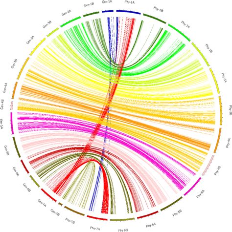 Collinearity Analysis In Marker Locations Between The Genetic Map And