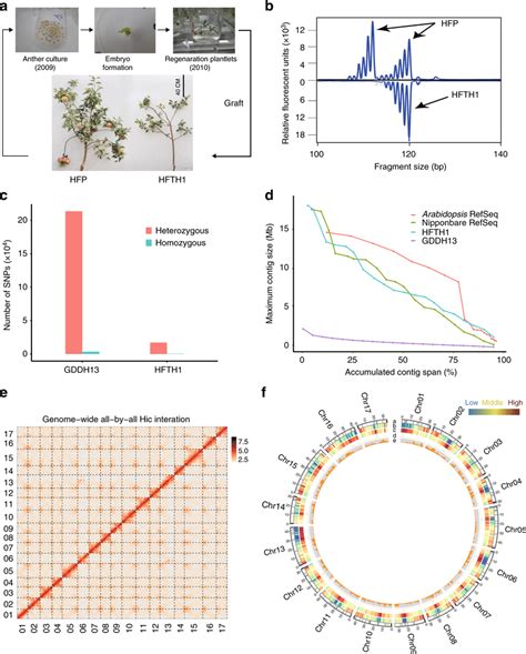 Overview Of The Assembly Quality And Characteristics Of The Hfth1