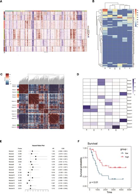 Frontiers Single Cell Transcriptome Sequencing Reveals Tumor