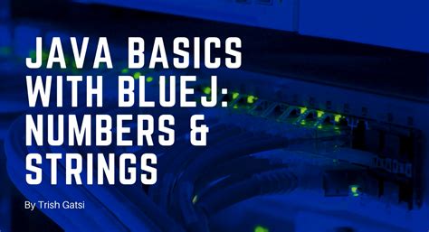 java basics numbers and strings using bluej diaspotechs