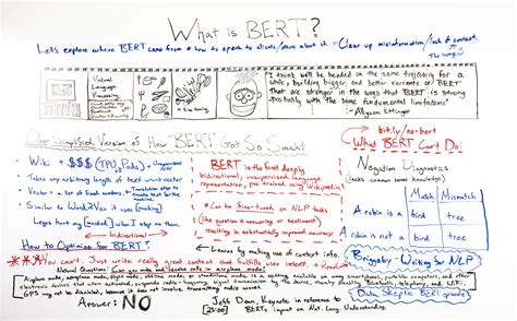 what is bert moz