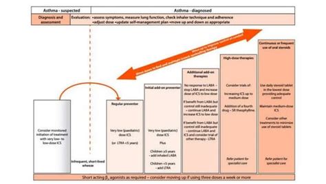 Bts Acute Asthma Algorithms