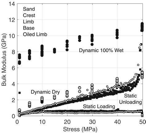 Static Dynamic Dry And Dynamic 100 Wet Bulk Moduli In All Four Sand