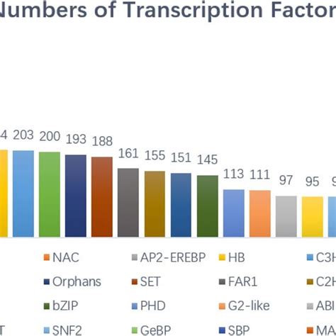 Analysis Of The Transcriptome Data A Length Distribution Of