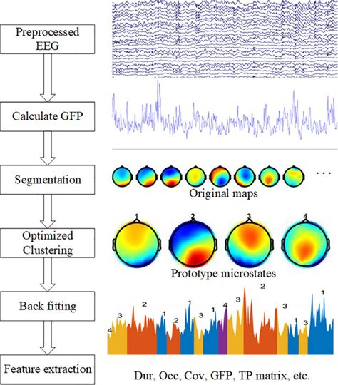 Frontiers Resting State Electroencephalogram Microstate To Evaluate