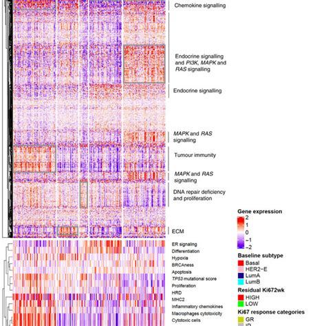 Five New Molecular Subgroups Were Identified Based On Consensus