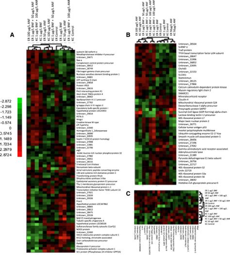 Heat Maps Of Differentially Expressed Genes Due To Download