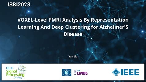 Voxel Level Fmri Analysis By Representation Learning And Deep