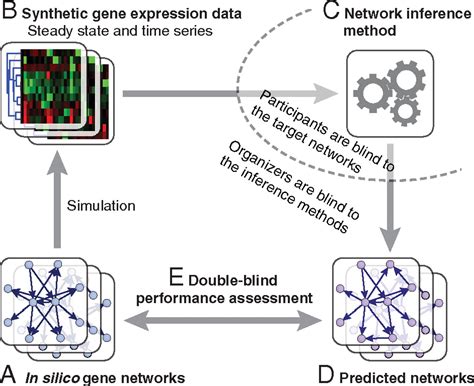 Revealing Strengths And Weaknesses Of Methods For Gene Network