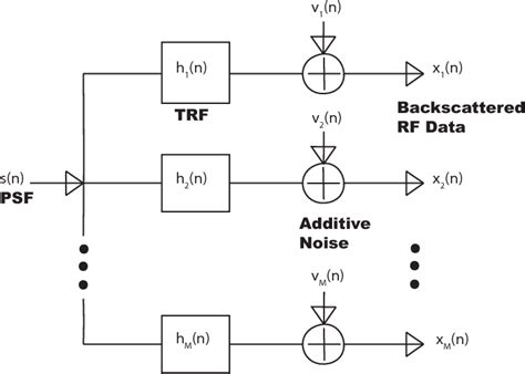 Figure 1 From Blind Deconvolution Of Ultrasound Images Using L {1