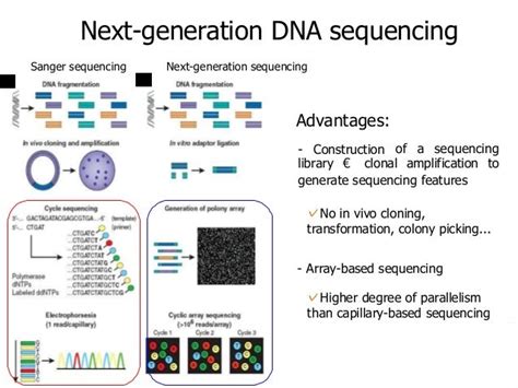 Ngs Introduction