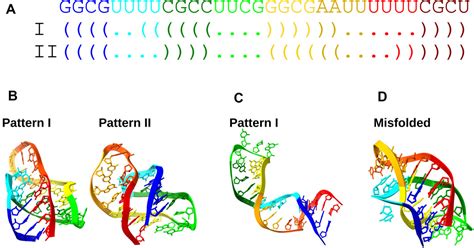 Figure 1 From Simrnaweb V2 0 A Web Server For Rna Folding Simulations