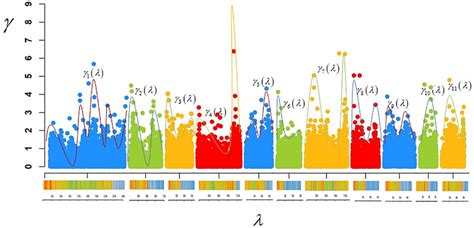 The Functional Continuous Profile Related To A Hypothetical Genome