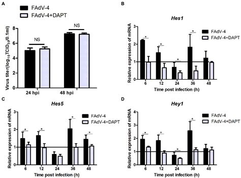 Frontiers Tmt Based Quantitative Proteomics Analysis Reveals The Role