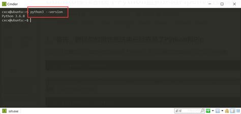 Linux Ubuntu系统 Python虚拟环境pipenv的安装配置与使用 详细版！！！ Ubuntu 安装pipenv Csdn博客