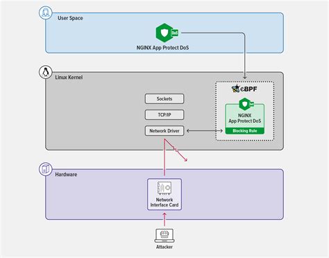accelerating ddos mitigation with ebpf in f5 nginx app protect dos nginx
