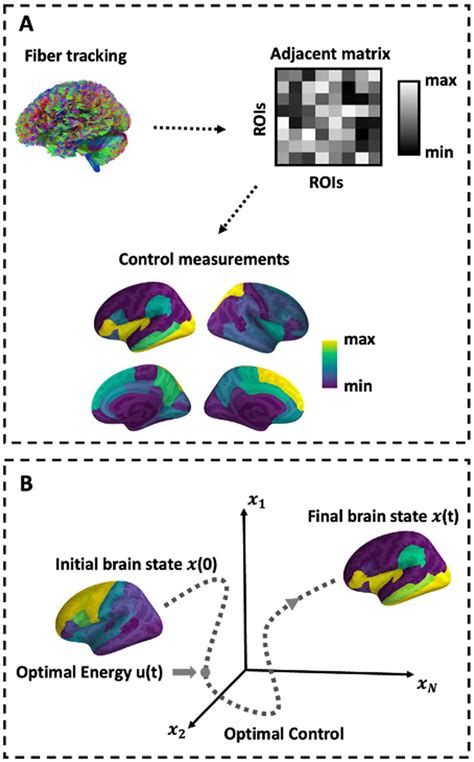 Frontiers Test And Re Test Reliability Of Optimal Stimulation Targets
