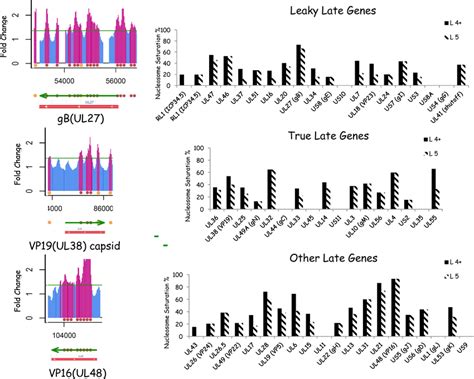 Nucleosome On Late Genes A The Nucleosome Signal Is Shown In The