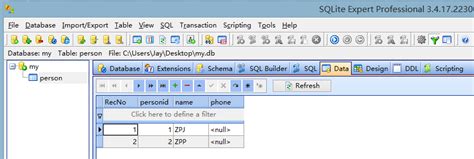 data storage and access a preliminary view of sqlite database