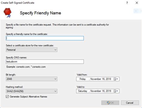 ssl how to create a self signed certificate for a domain name for