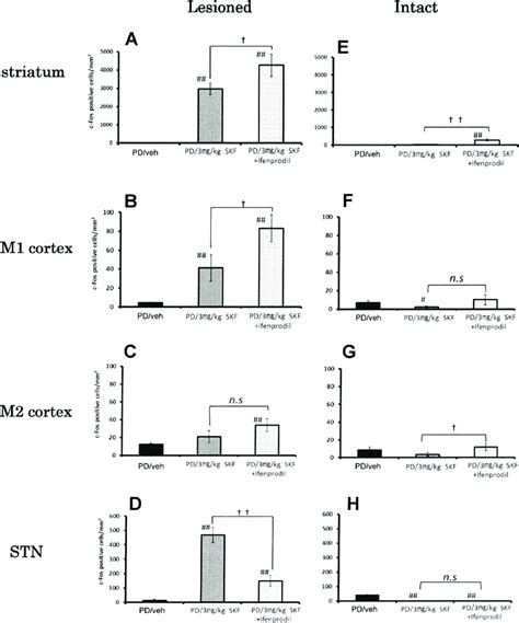 Quantitative Analysis Of C Fos Positive Neurons In Various Brain