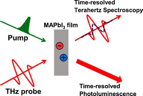 Characterization Of Intrinsic Charge Carrier Dynamics In Lead Halide