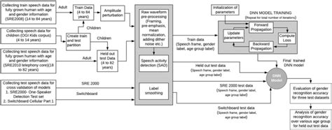 Step By Step Description Of The Gender Recognition System Development