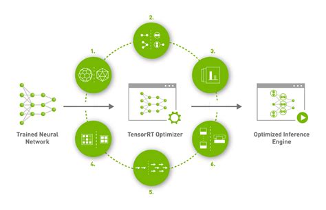tensorrt dynamic shape