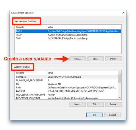 how to set environmental variables twilio
